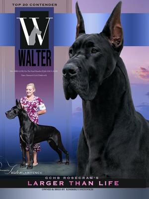 CREEK DANES OUT OF THE DARKNESS AT DROOLAKISS (IMP USA)