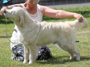 Dunehills Overseas Link Avec Gaytonwood (imp BEL)