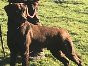 Saint Laurence At Verrad